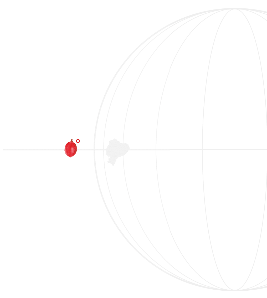 Zafru – Somos la Fruta Milagrosa